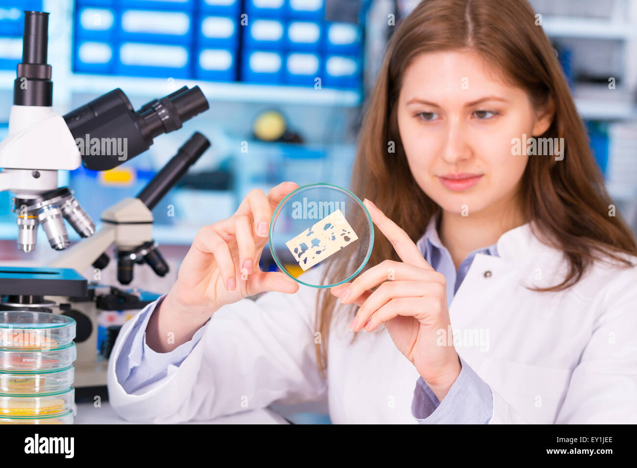 Food quality control factory worker hi-res stock photography and images ...