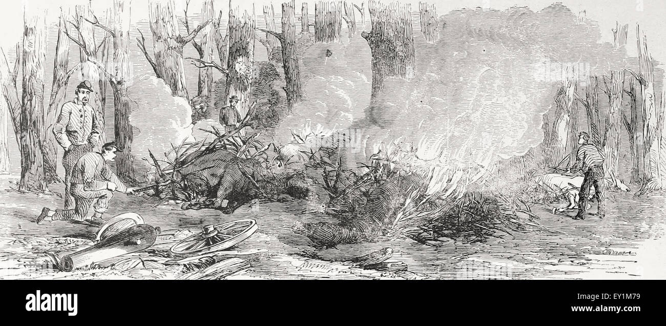 Dead horses hi-res stock photography and images - Alamy