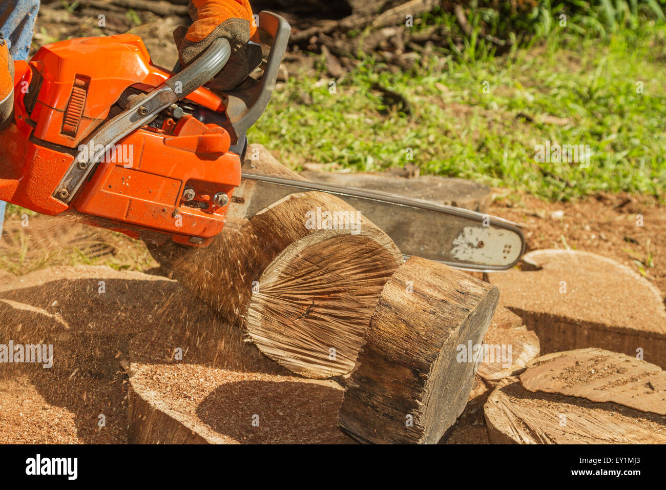 Timber cutting hi-res stock photography and images - Alamy