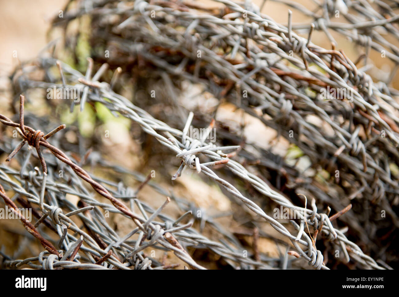 an old rusty barbed wire Stock Photo - Alamy
