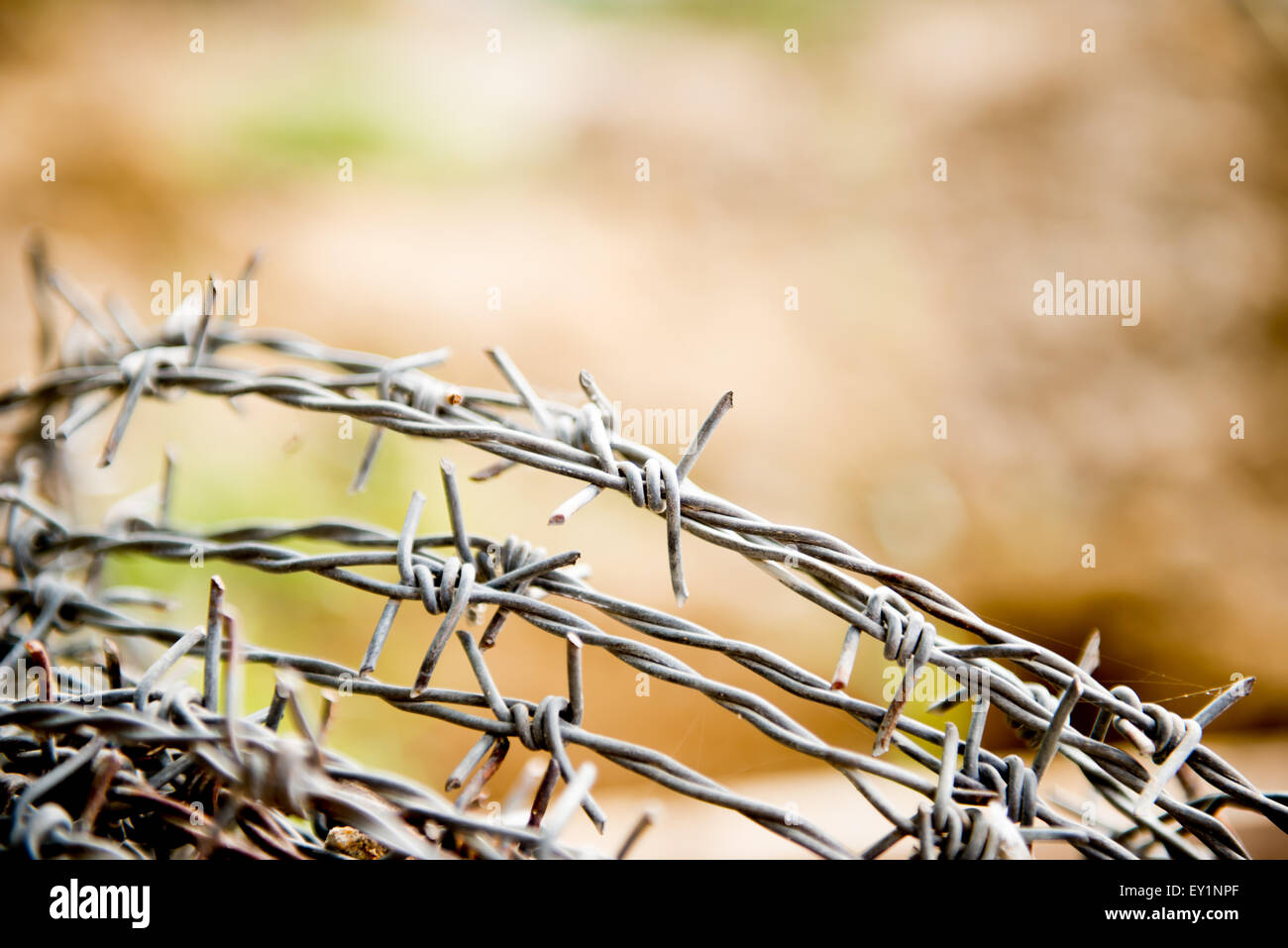 an old rusty barbed wire Stock Photo - Alamy
