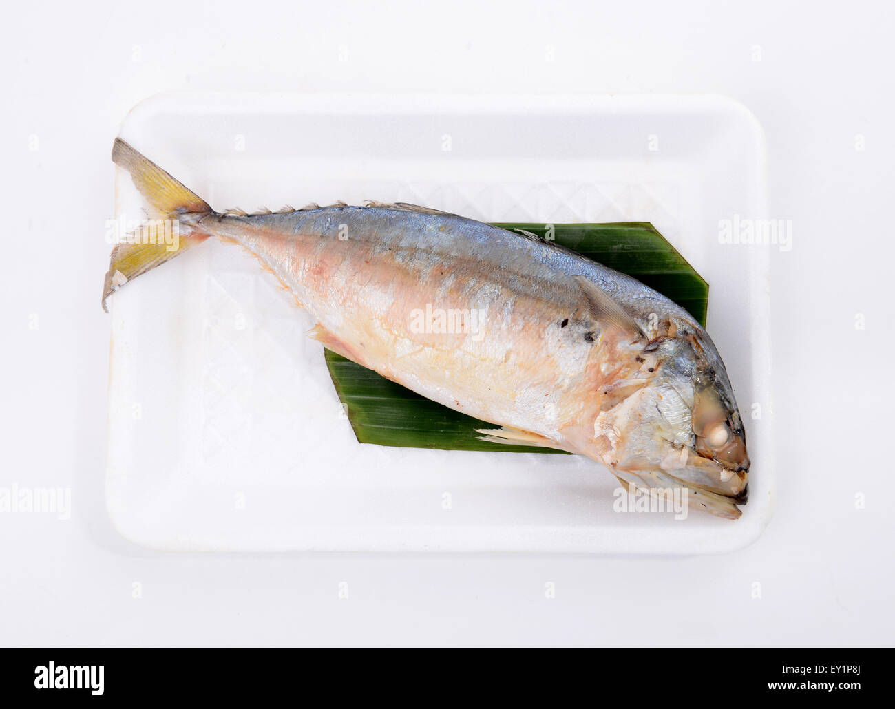 steamed mackerel in foam box Stock Photo - Alamy