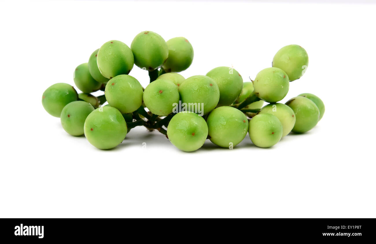 Turkey berry hi-res stock photography and images - Alamy