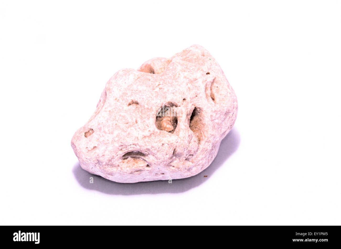 Old Ancient Fossil Rock Stone Stock Photo - Alamy