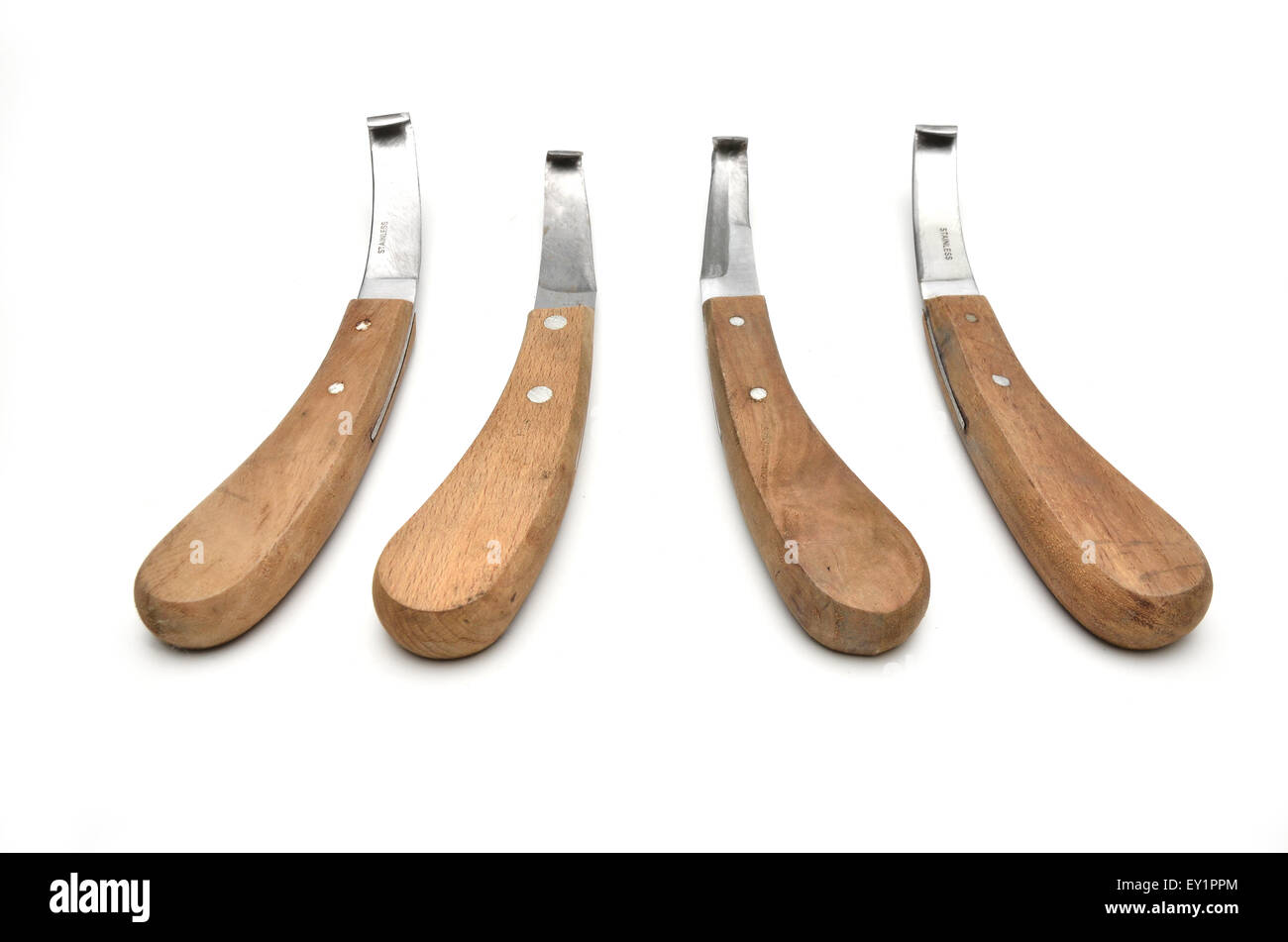 knife for trimming animal hoof on white background Stock Photo - Alamy