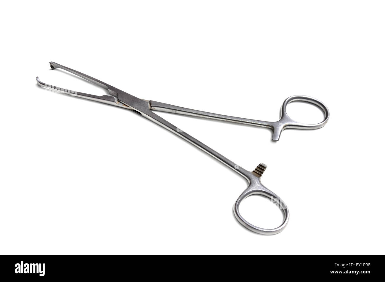 Surgical instruments isolated on white background Stock Photo - Alamy