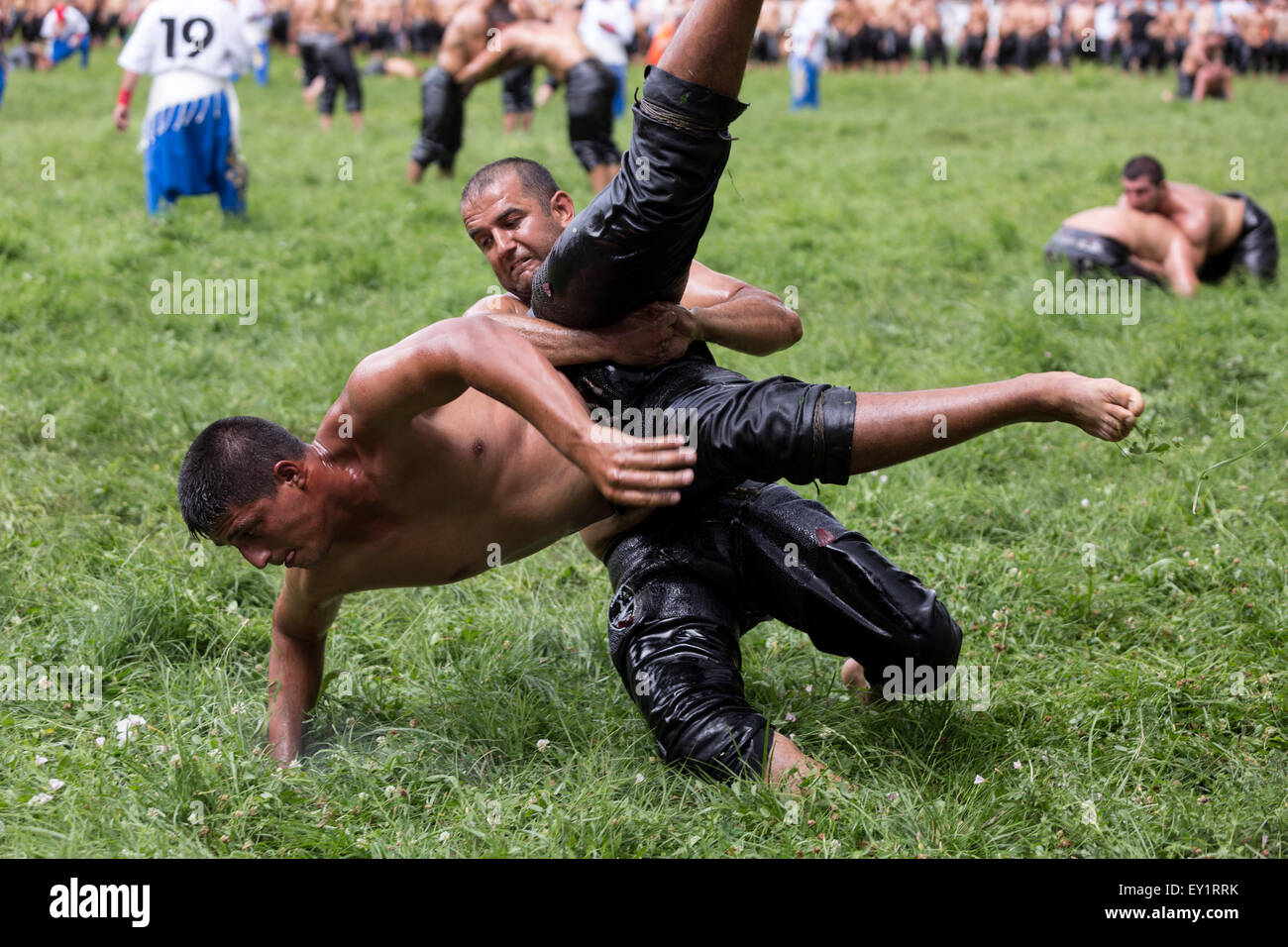 Oil wrestling turkey hi-res stock photography and images - Alamy