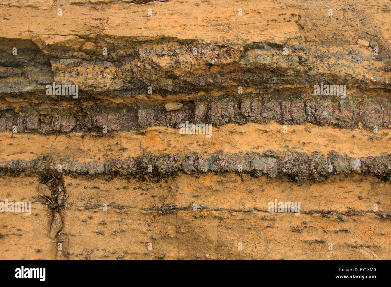 Pyroxenite layers in a dunite (olivine-rich peridotite Stock Photo - Alamy
