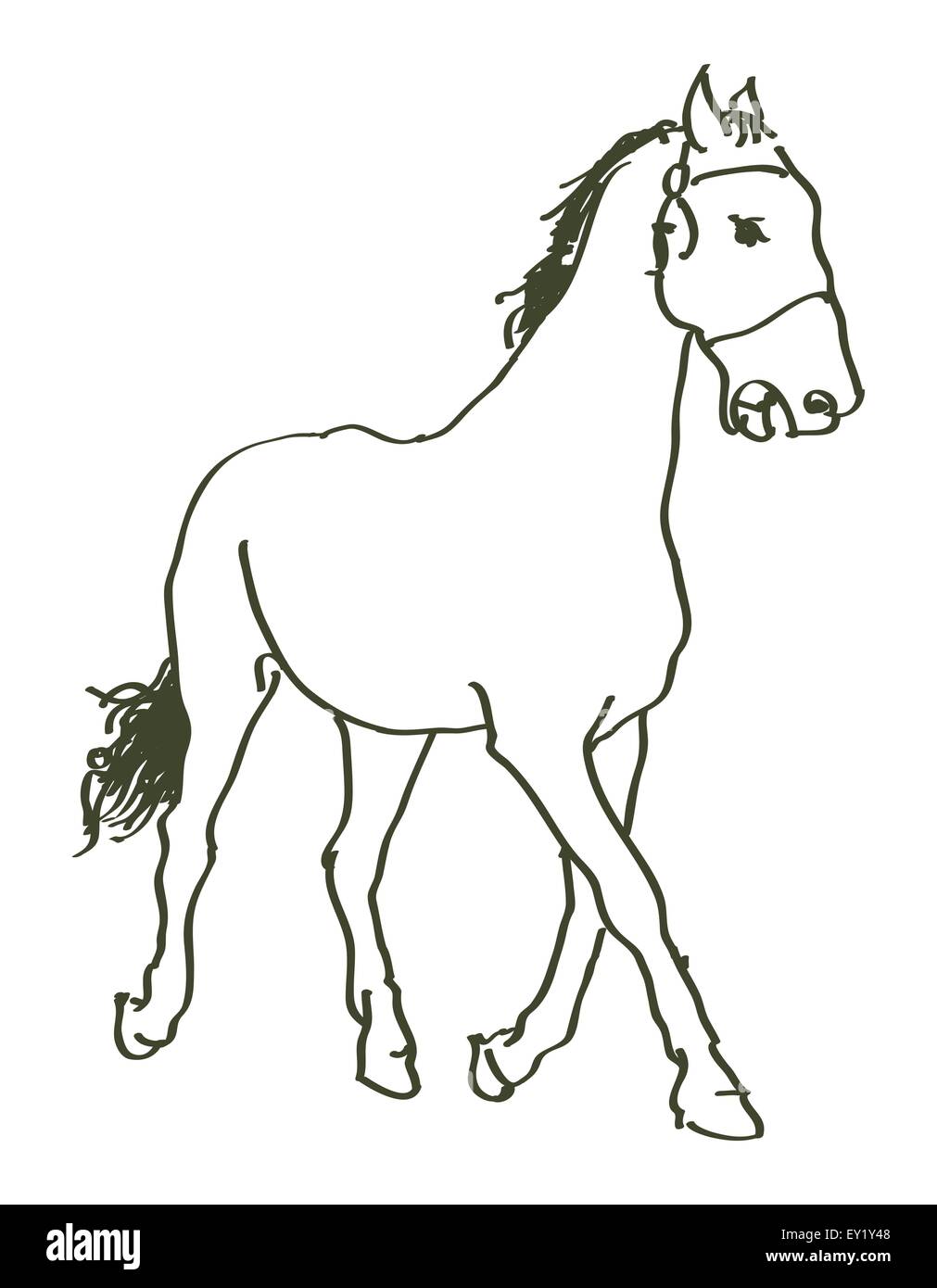 hand drawn horse - vector illustration Stock Vector Image & Art - Alamy