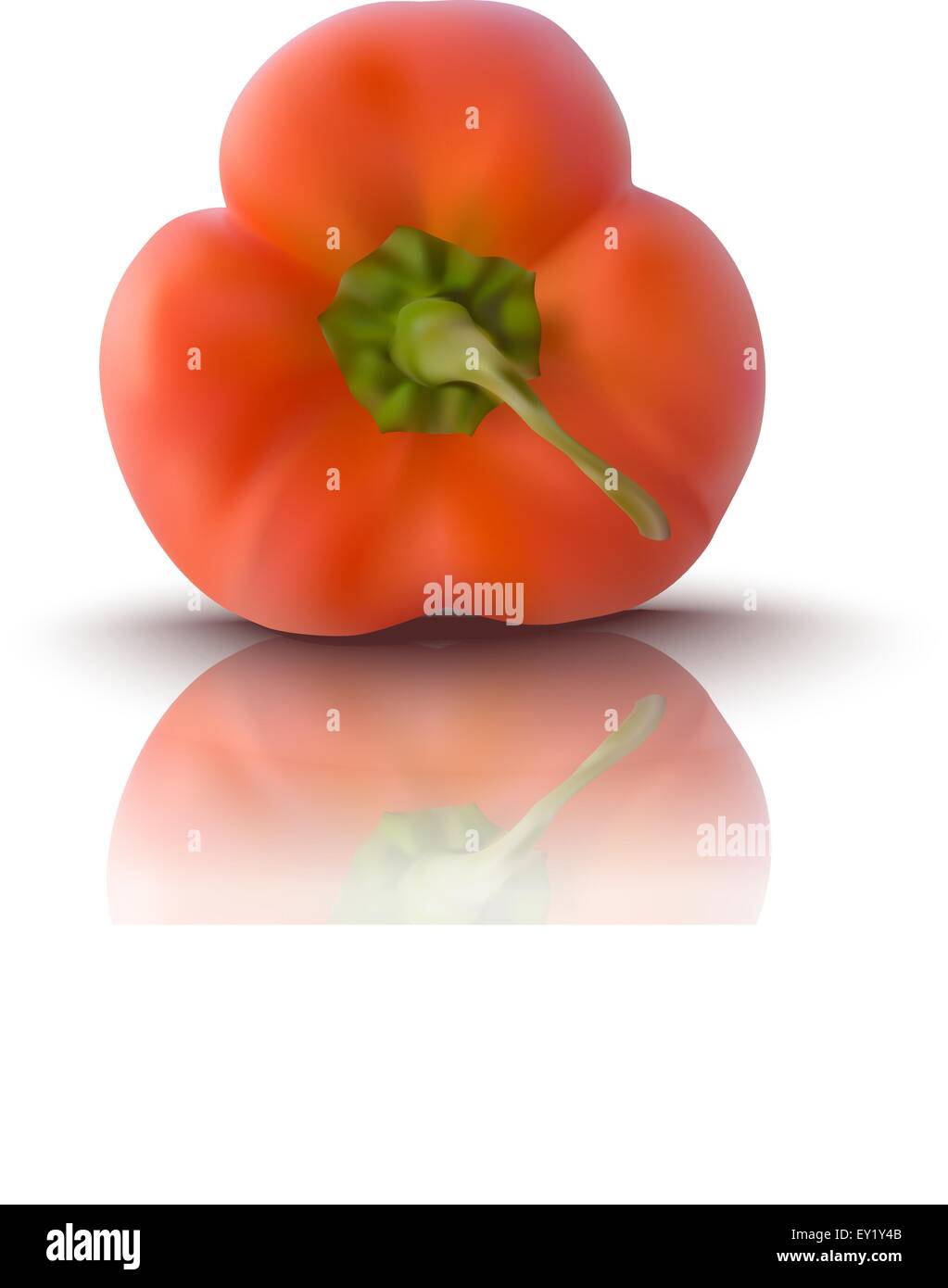 realistic red bell pepper - vector illustration Stock Vector Image ...