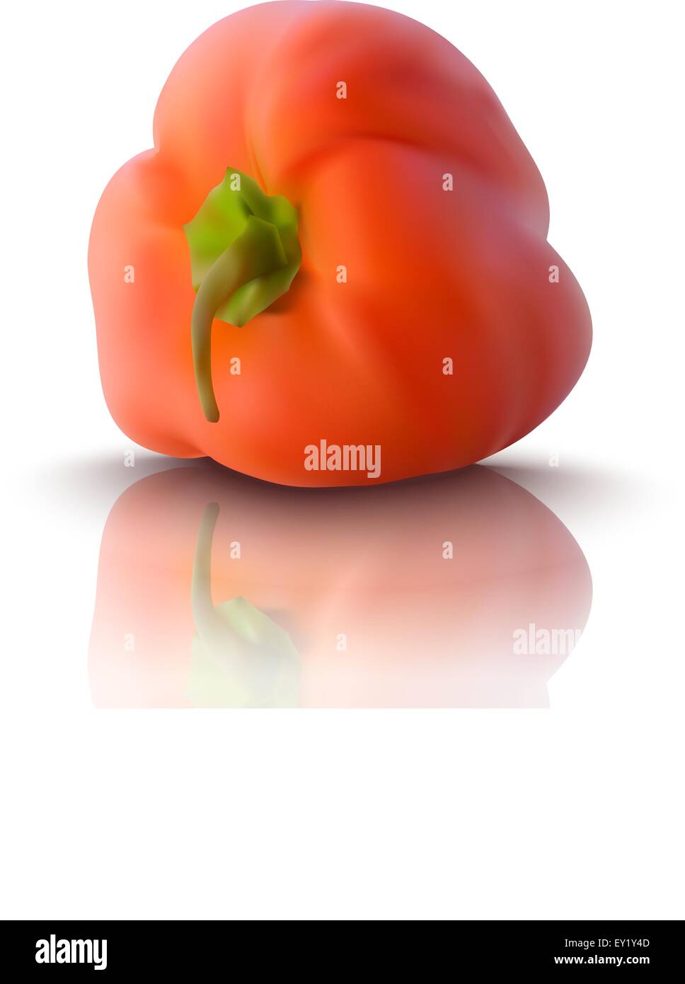 realistic red bell pepper - vector illustration Stock Vector Image ...