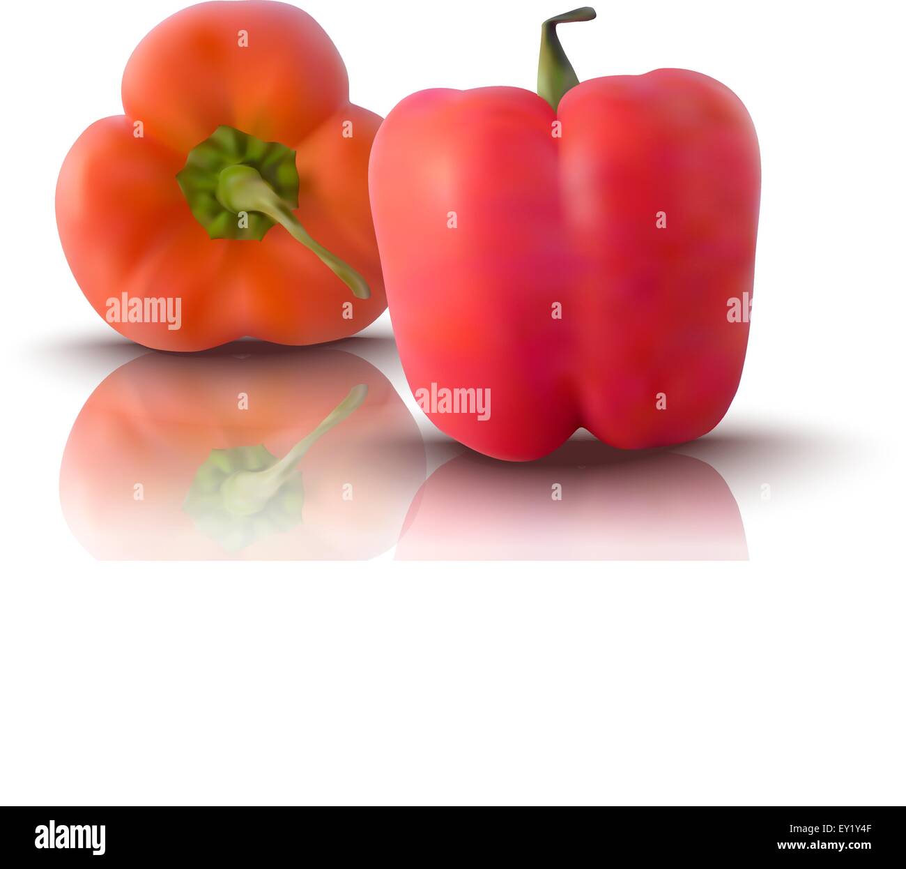 realistic red bell peppers - vector illustration Stock Vector Image ...