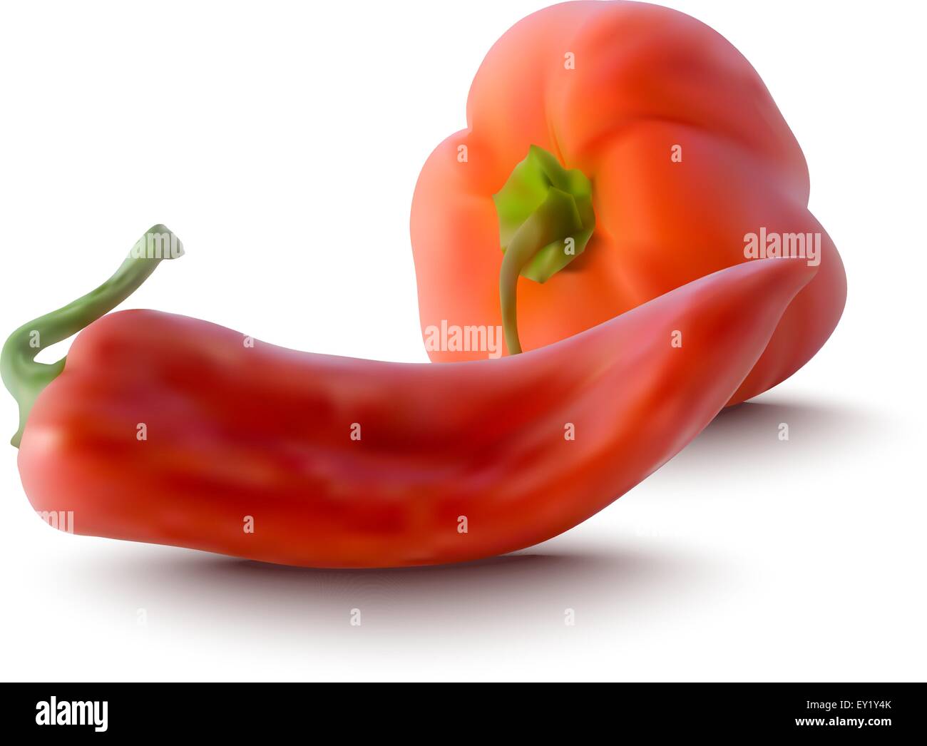 realistic red peppers - vector illustration Stock Vector Image & Art ...