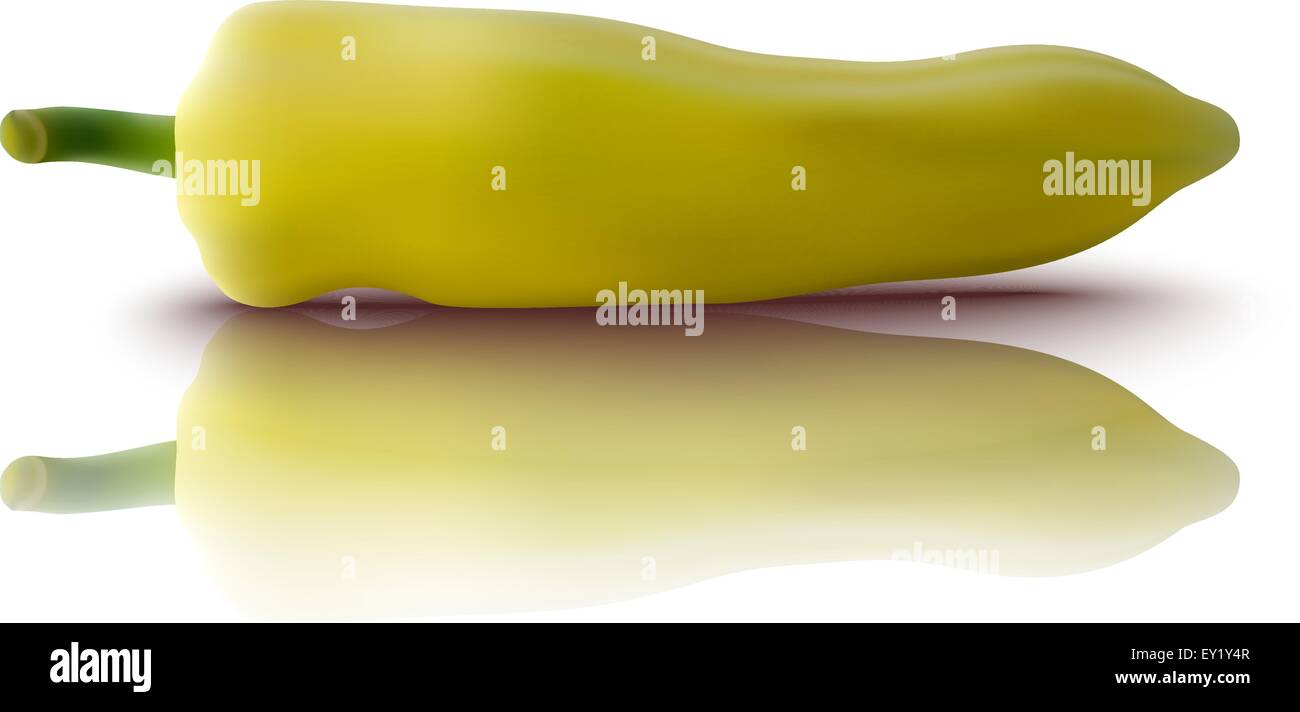 realistic illustration of yellow pepper - vector illustration Stock ...