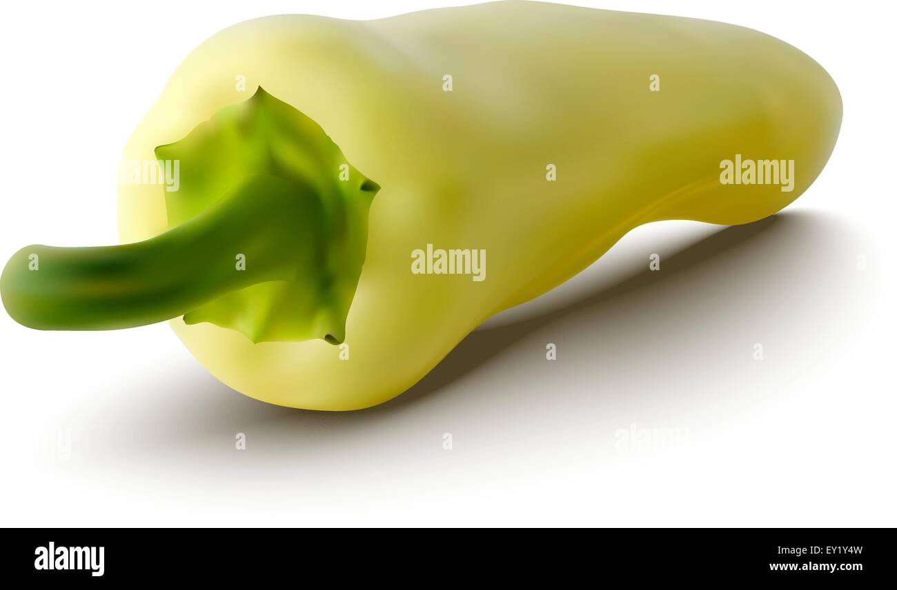 realistic illustration of yellow pepper - vector illustration Stock ...