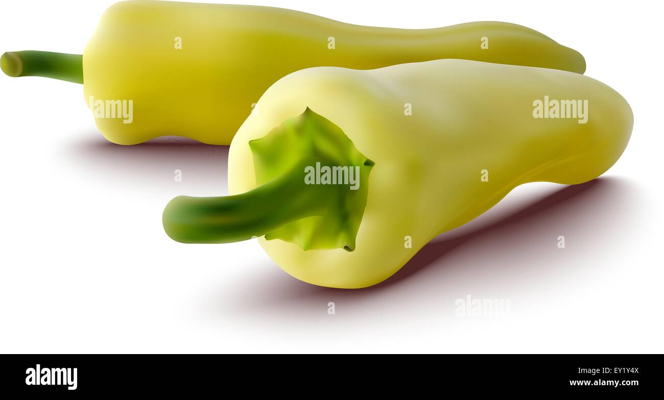 realistic illustration of yellow peppers - vector illustration Stock ...