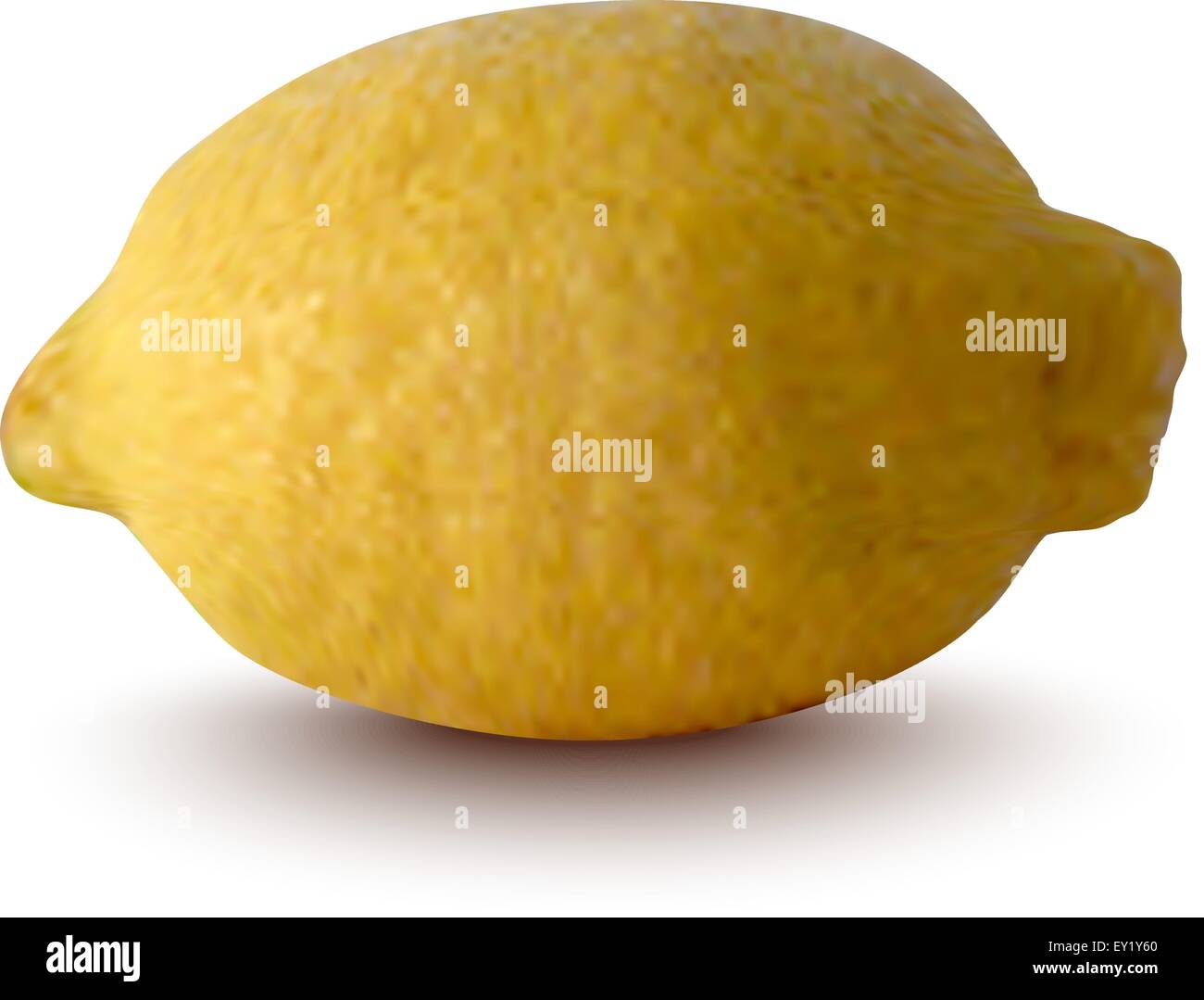 realistic illustration of lemon - vector illustration Stock Vector ...
