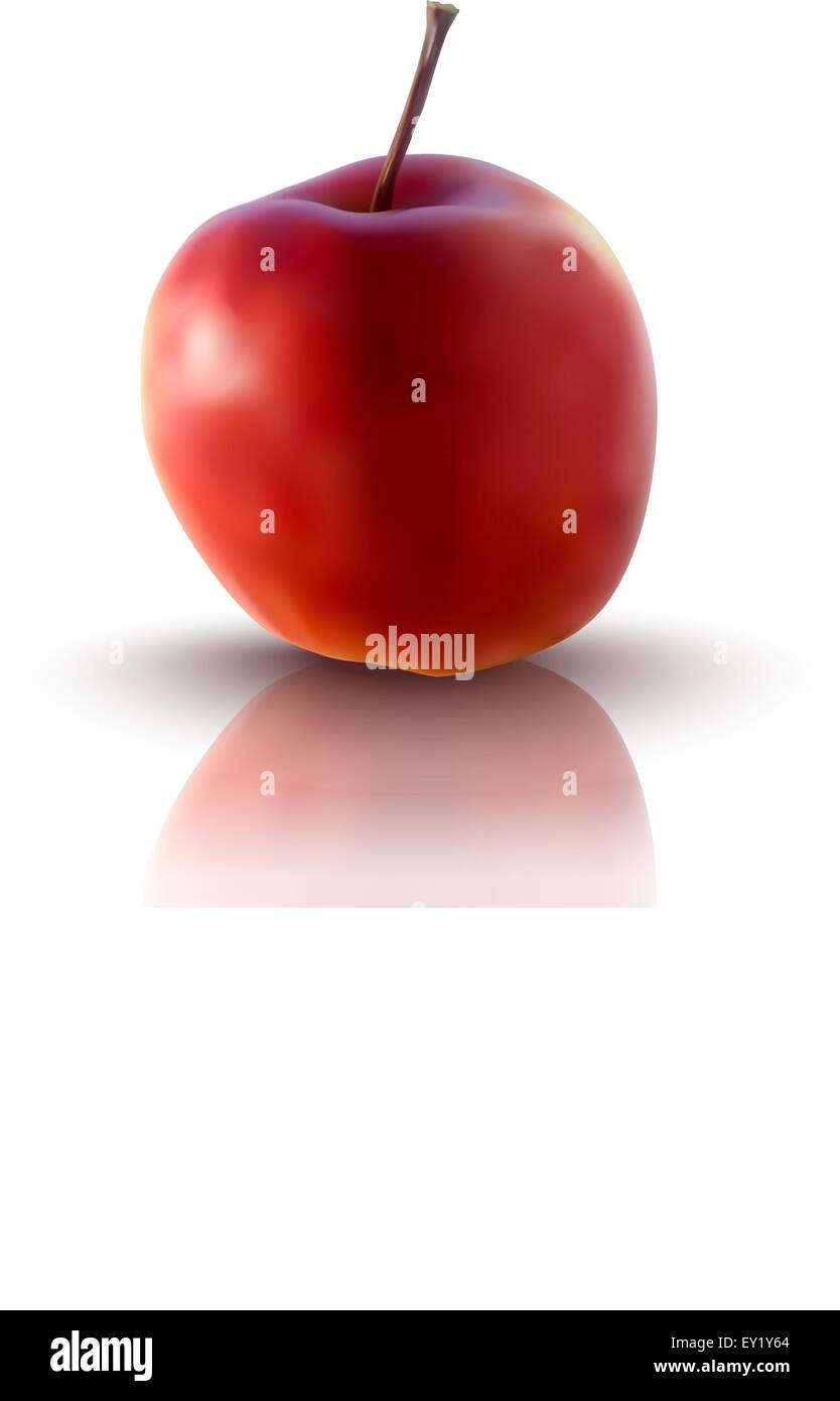 realistic illustration of red apple - vector illustration Stock Vector ...