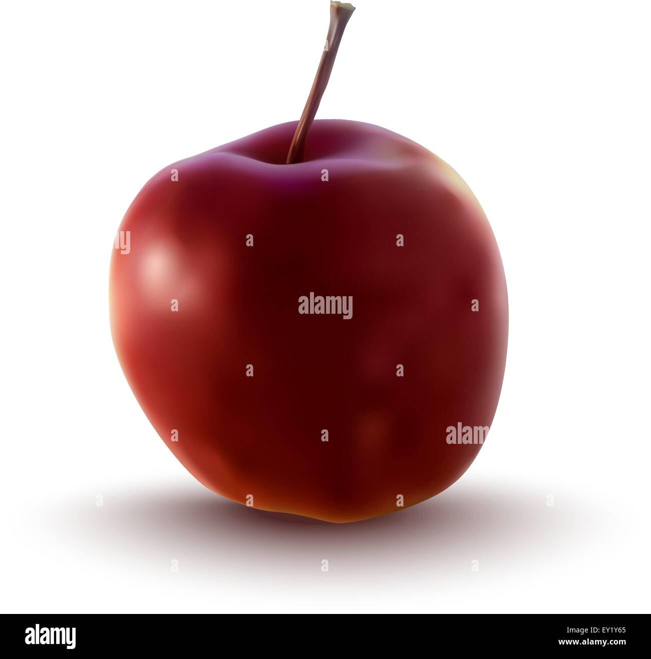 realistic illustration of red apple - vector illustration Stock Vector ...