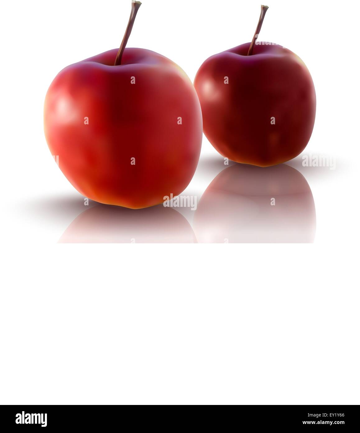realistic illustration of red apples - vector illustration Stock Vector ...