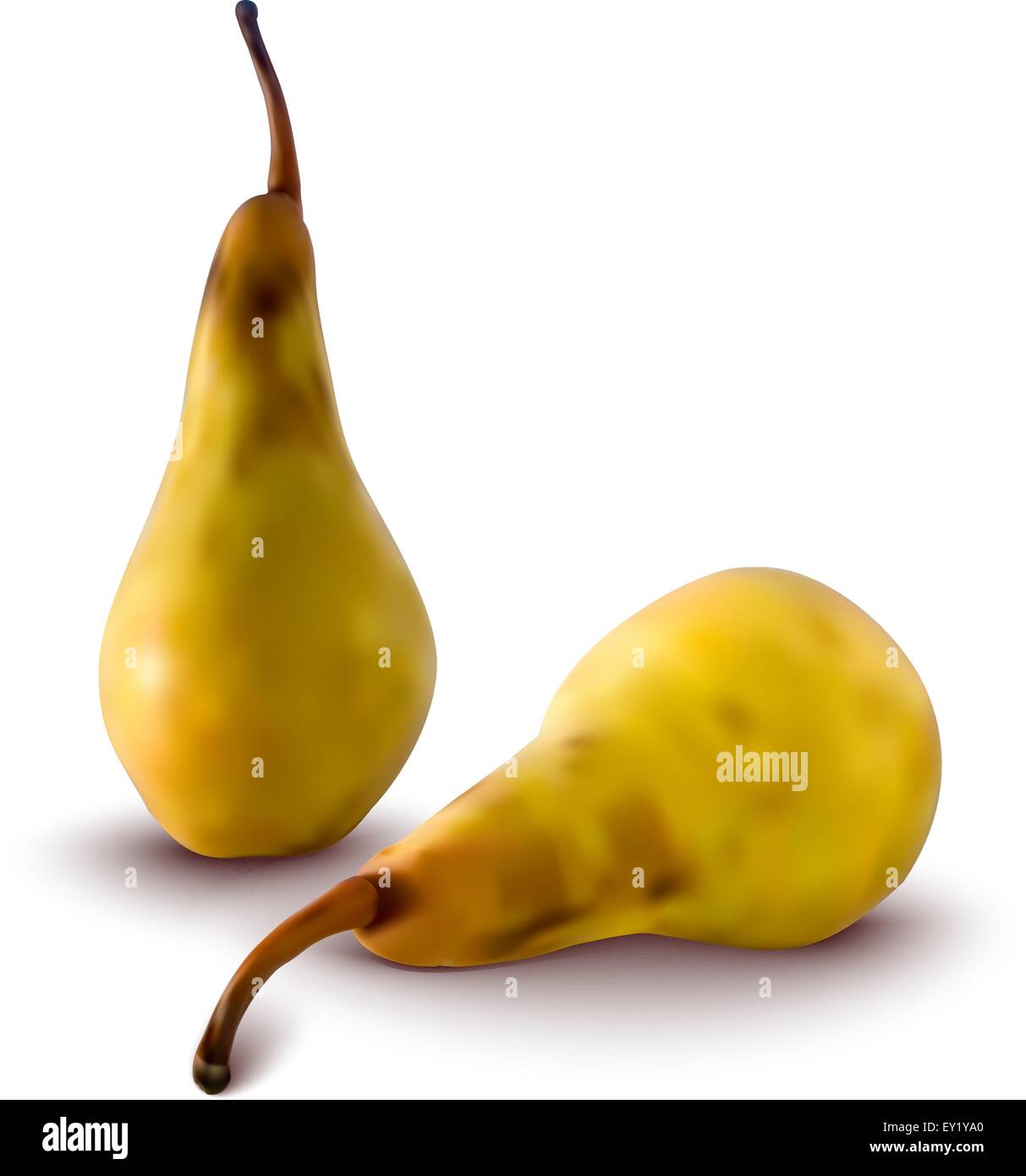 Full pears Stock Vector Images - Alamy