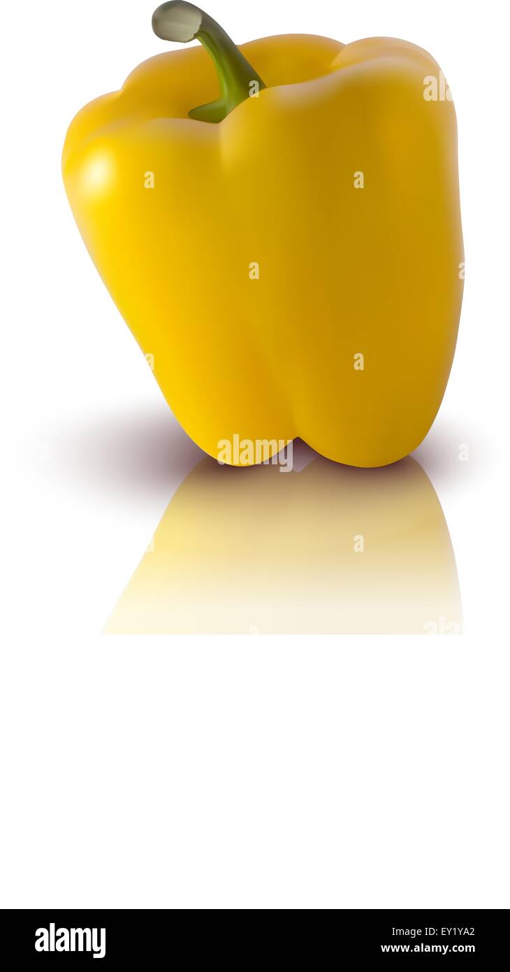 realistic yellow bell pepper - vector illustration Stock Vector Image ...
