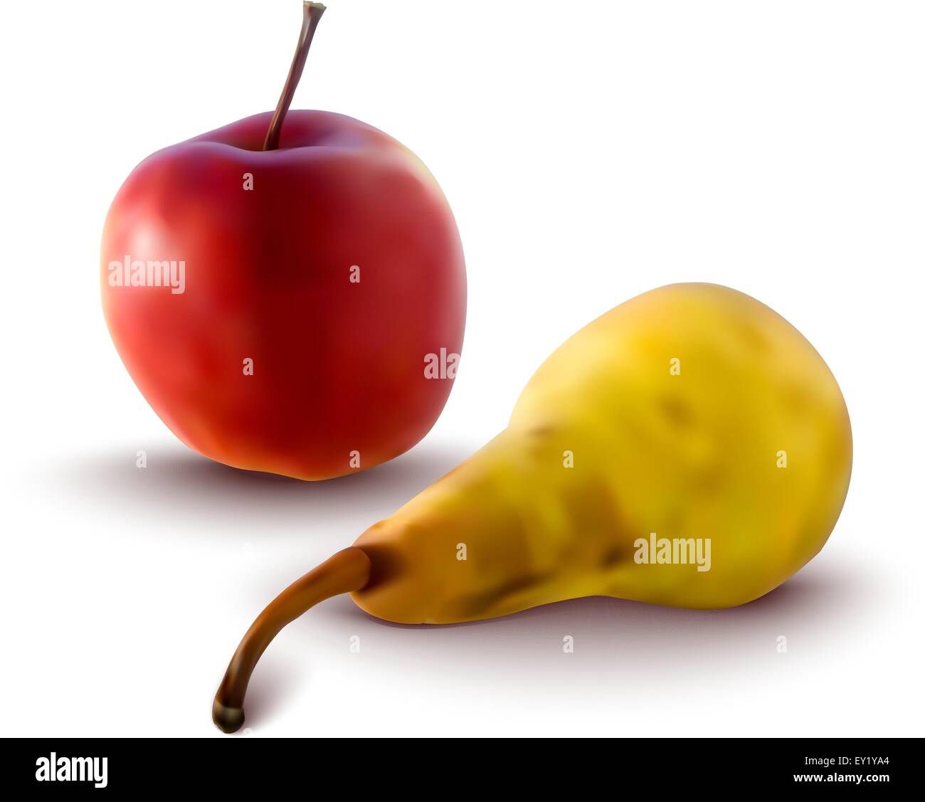 realistic illustration of apple and pear - vector illustration Stock ...
