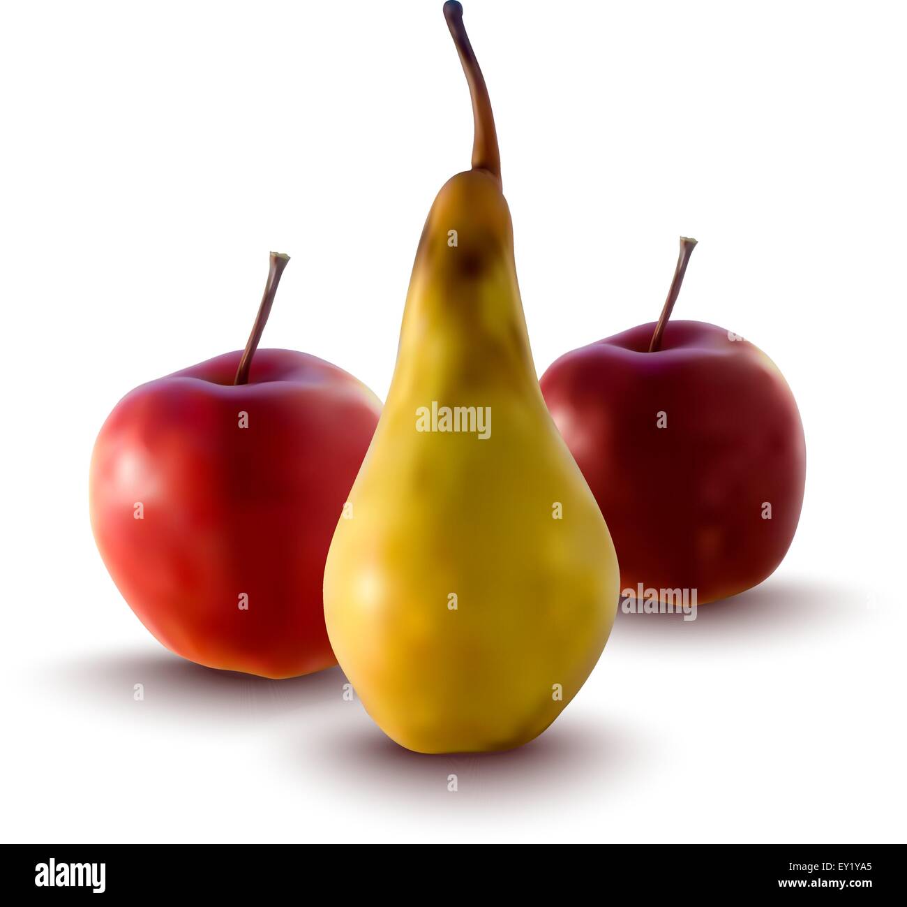 realistic illustration of apples and pear - vector illustration Stock ...