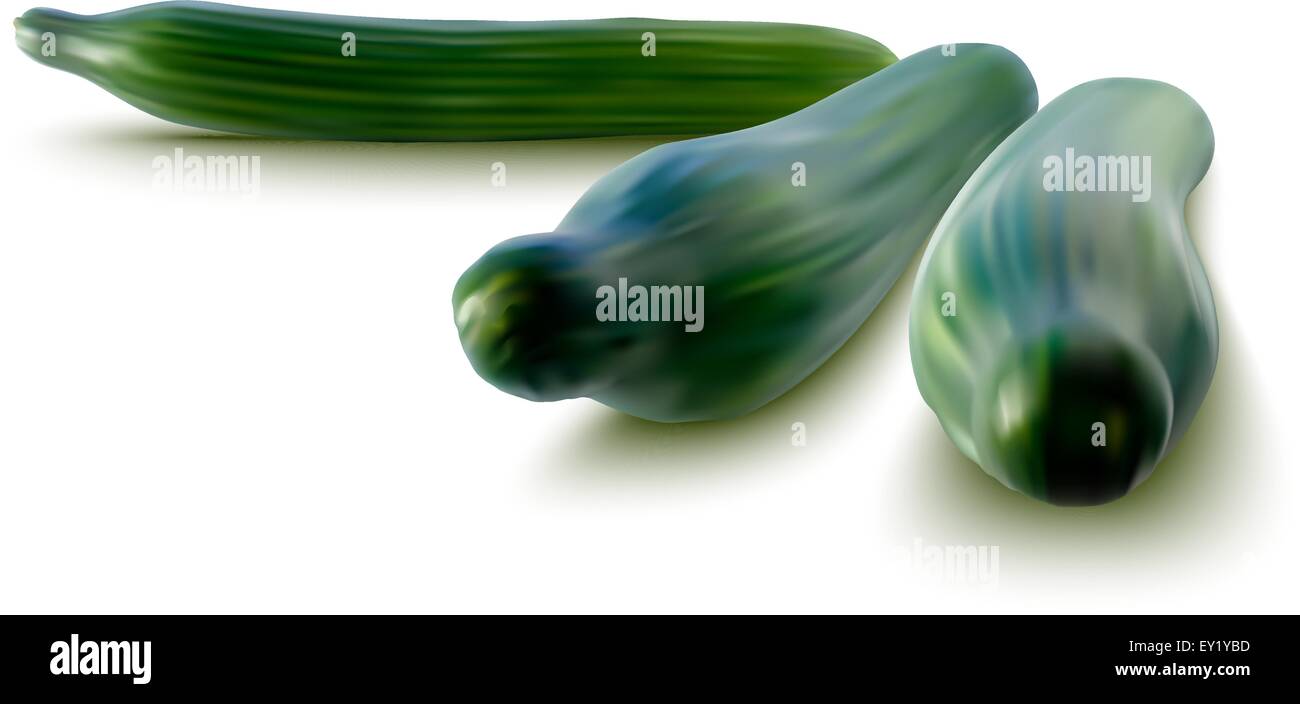 realistic illustration of fresh cucumbers - vector illustration Stock ...