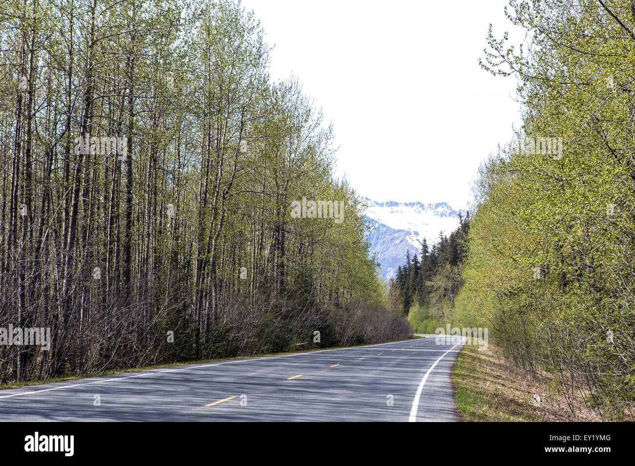 USA, Alaska, North America, Road Stock Photo - Alamy
