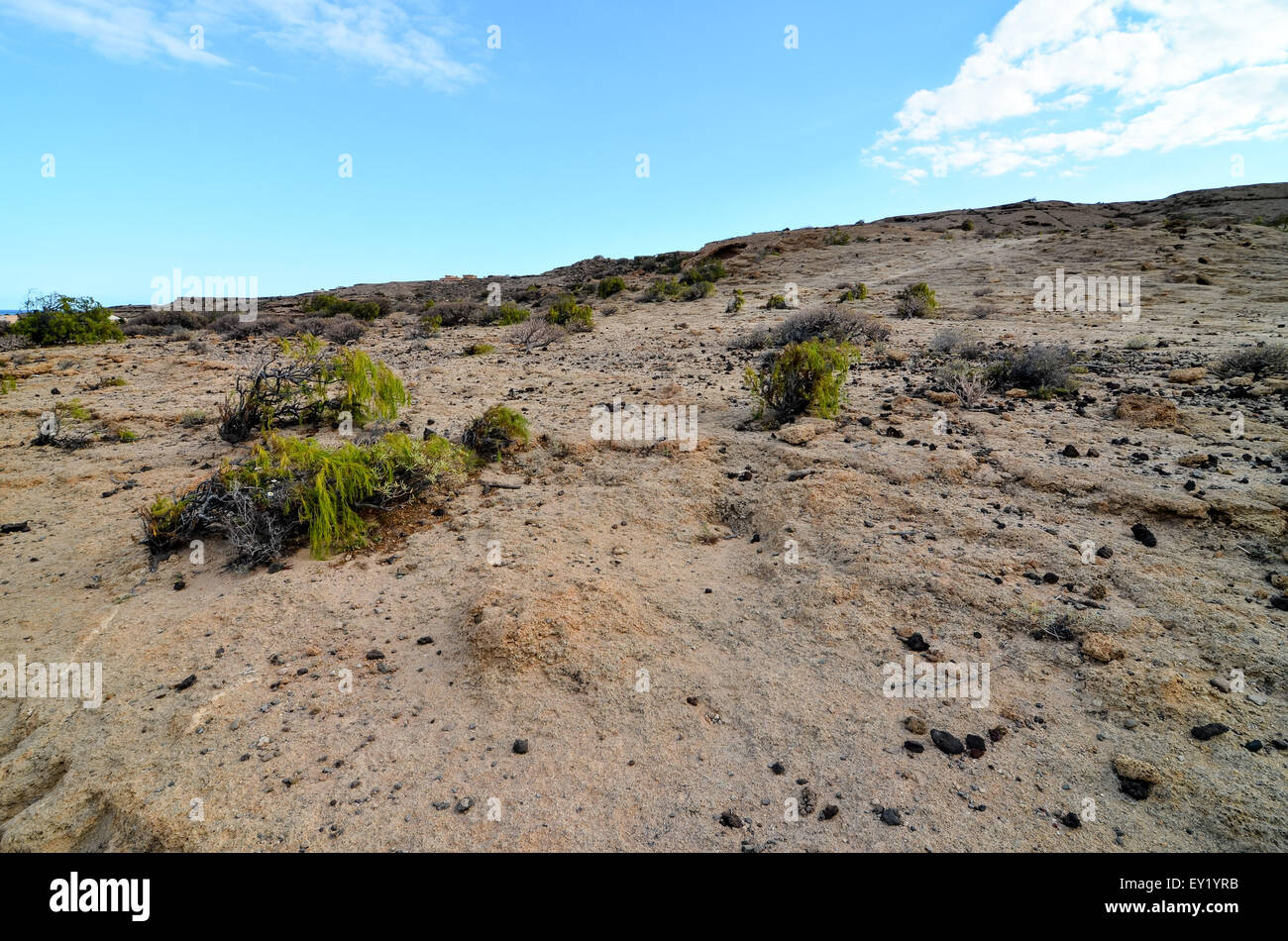 Volcanic Rock Basaltic Formation in Gran Canaria Stock Photo - Alamy