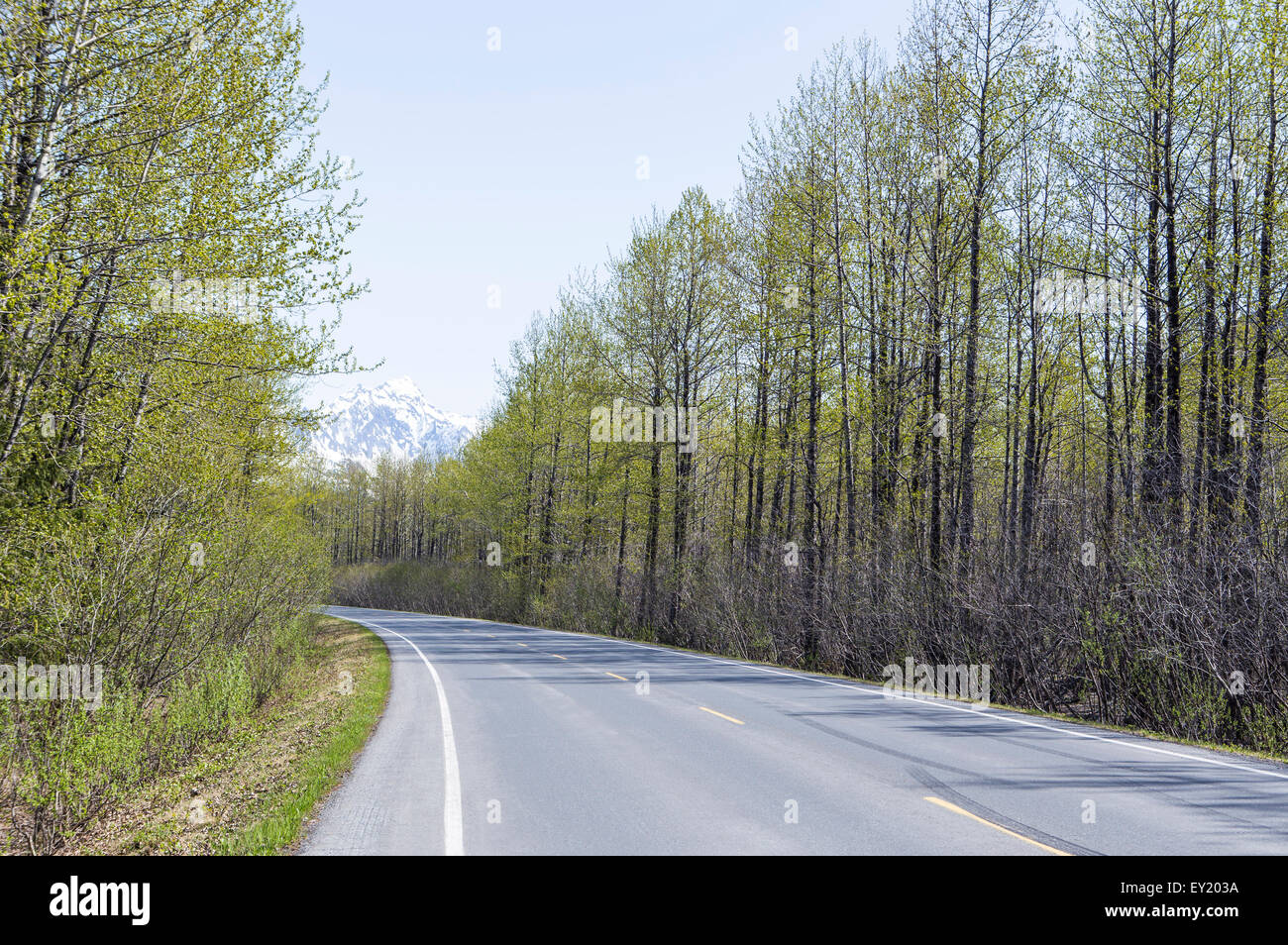 USA, Alaska, North America, Road Stock Photo - Alamy