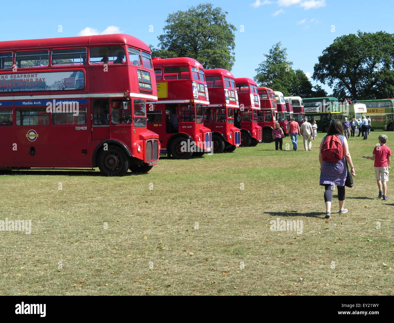 Routemaster buses at bus rally Stock Photo - Alamy