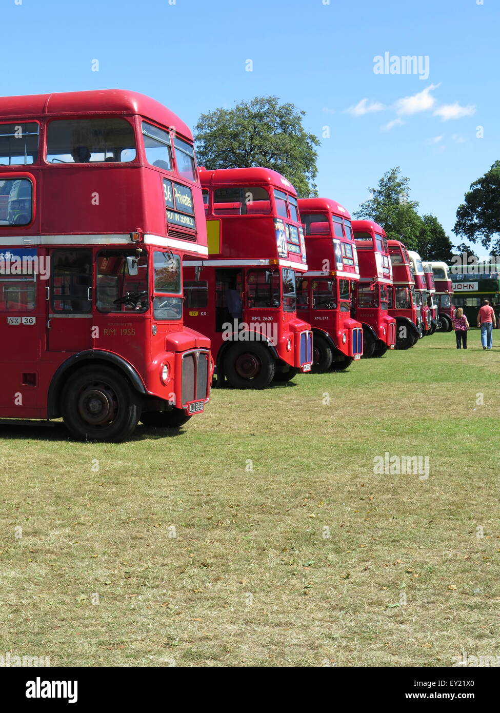 Routemaster buses at bus rally Stock Photo - Alamy