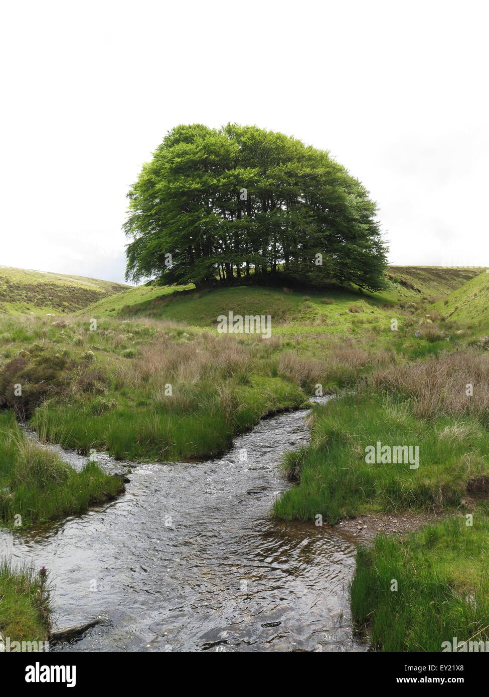 Ancient sheep fold hi-res stock photography and images - Alamy