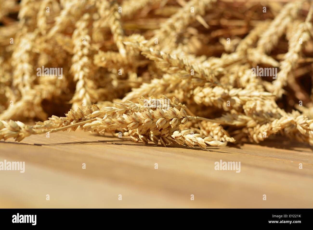 Bundle of wheat Stock Photo - Alamy