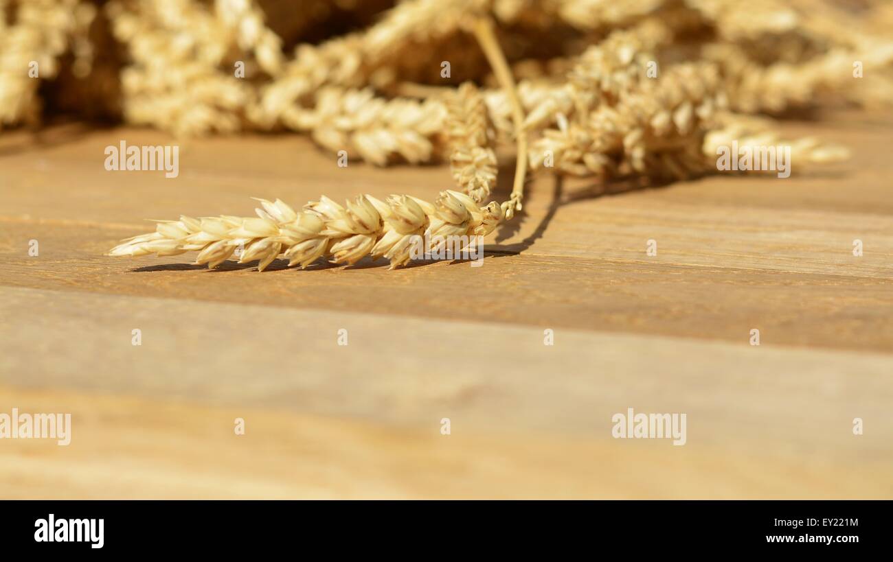 Bundle of wheat Stock Photo - Alamy