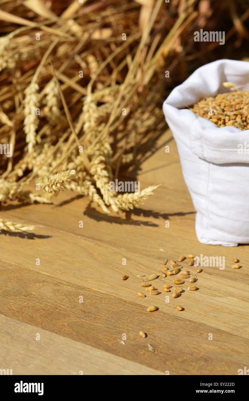 Bundle of wheat Stock Photo - Alamy