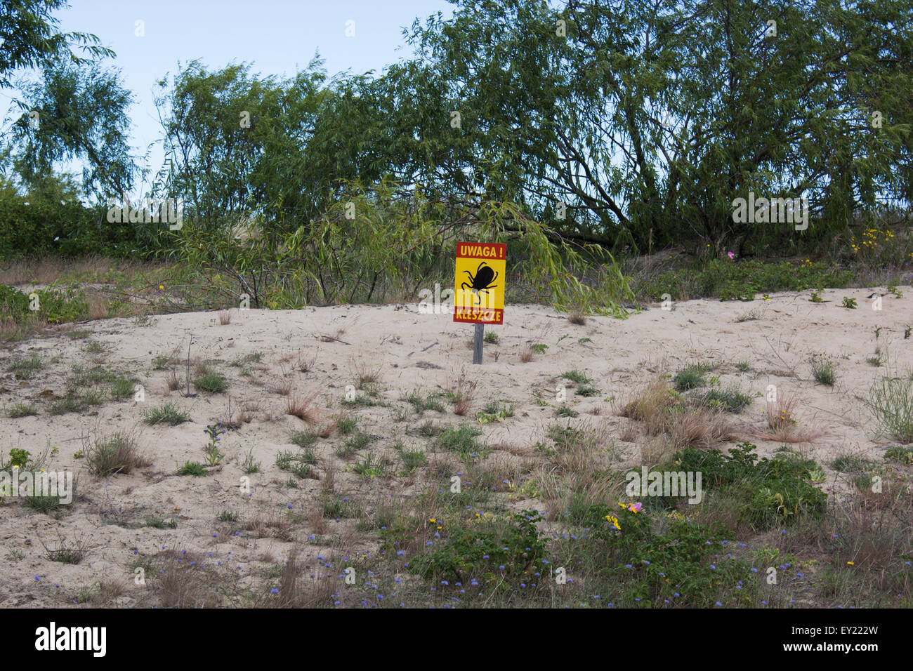 Tick sign hi-res stock photography and images - Alamy