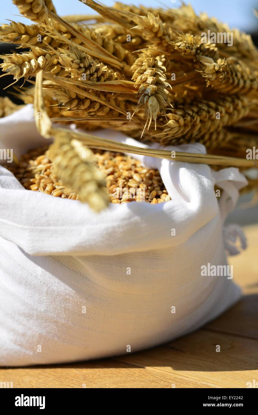 Bundle of wheat Stock Photo - Alamy