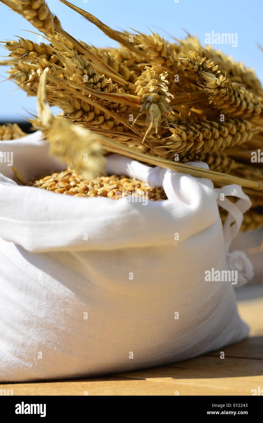 Bundle of wheat Stock Photo - Alamy