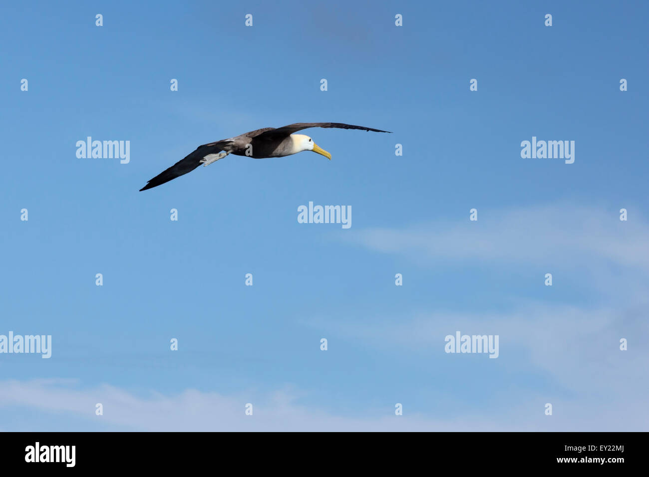 Flying pebbles hi-res stock photography and images - Alamy