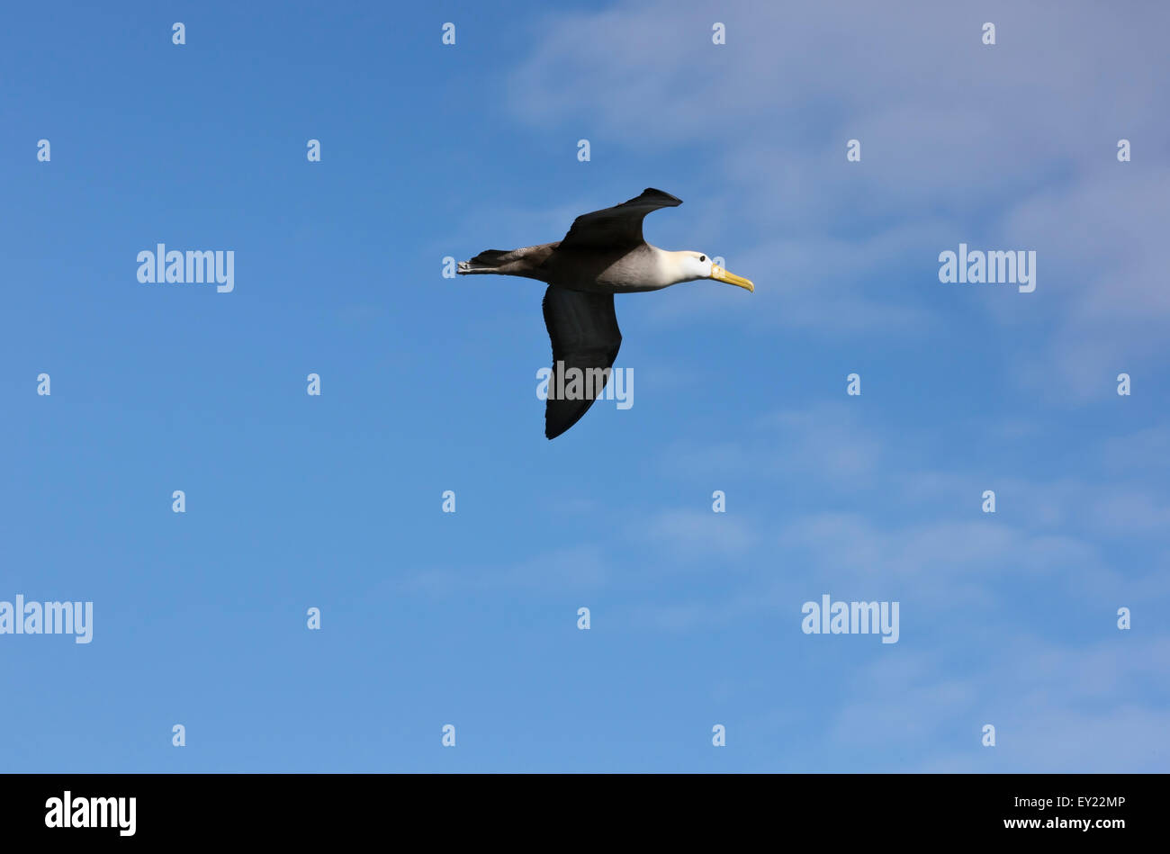 Flying pebbles hi-res stock photography and images - Alamy