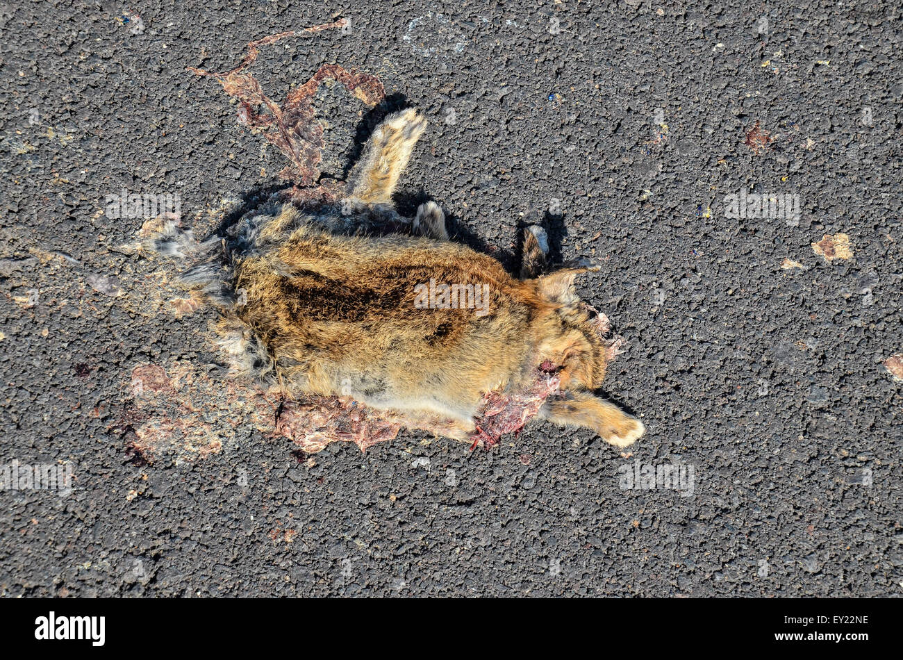 Death dead body the end street hi-res stock photography and images - Alamy