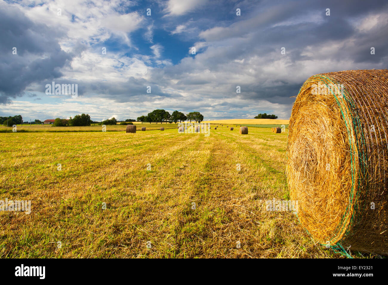 Harvest time and summer landscape after a storm Stock Photo - Alamy