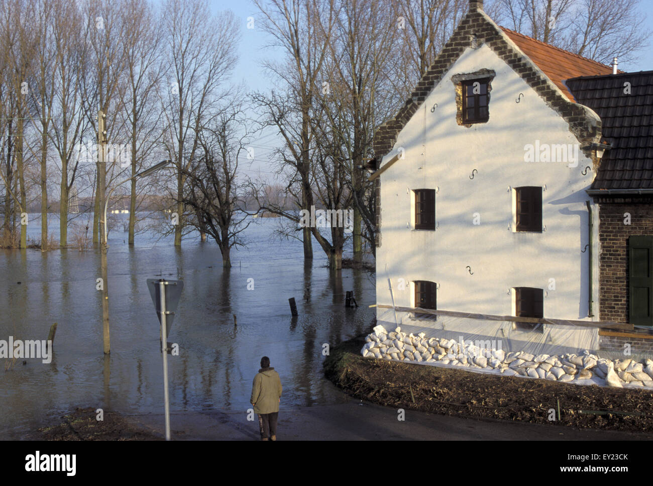 DEU, Germany, Cologne, flood of the river Rhine in November 1998, house ...