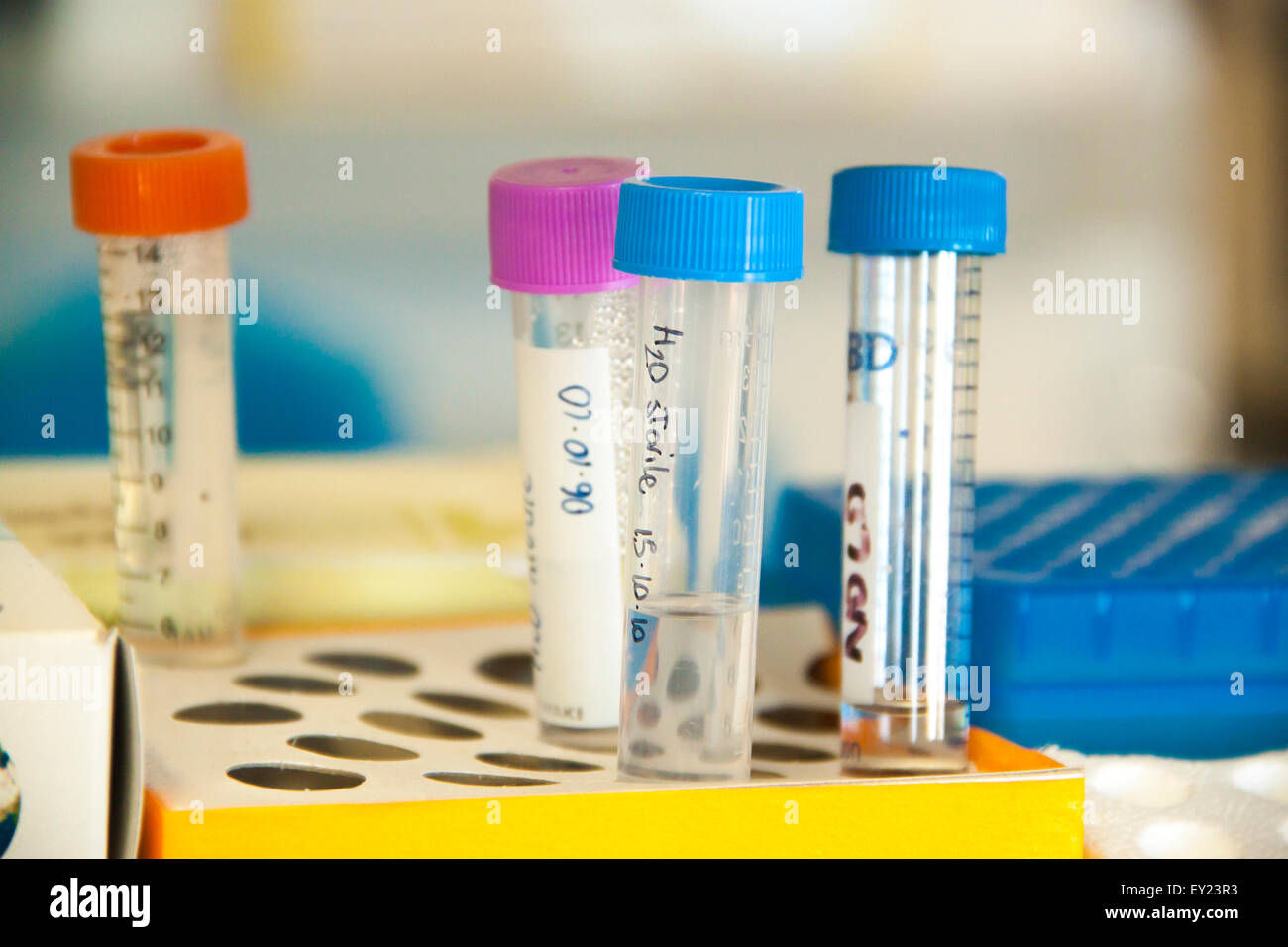 Sample storage test tubes in laboratory Stock Photo - Alamy