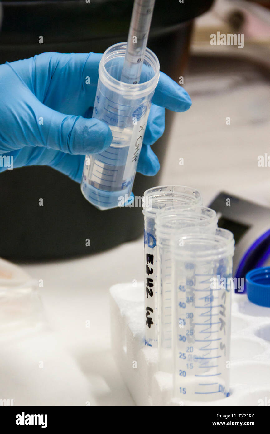 A scientist is working with a test tube in a biomedical laboratory ...