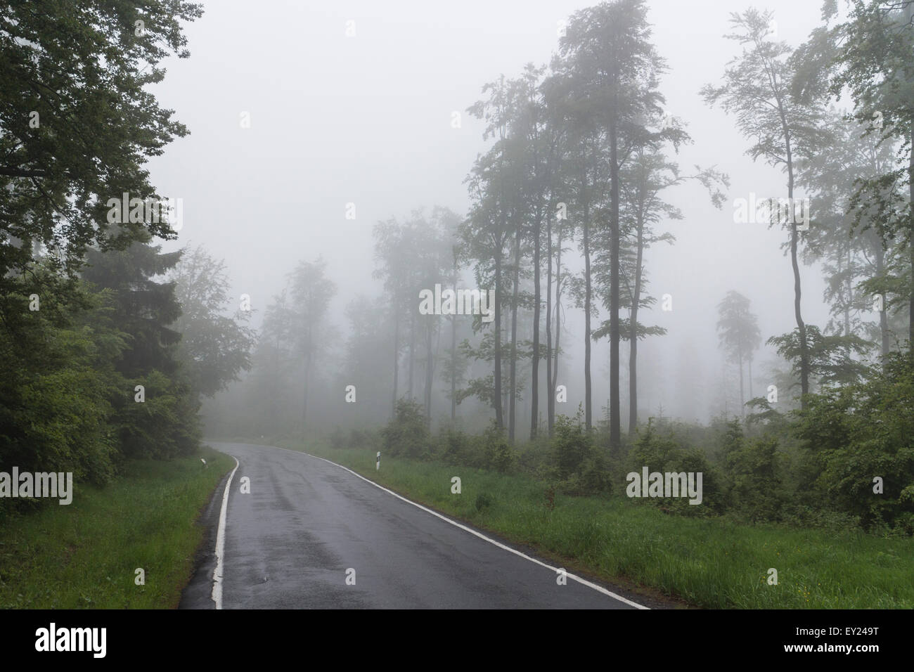 Road in the Thuringia Forest, Germany Stock Photo - Alamy