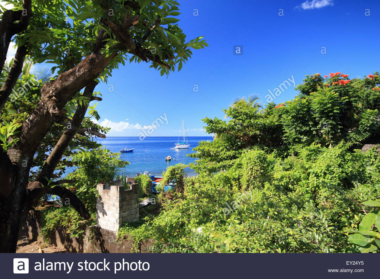 Roseau Dominica High Resolution Stock Photography and Images - Alamy